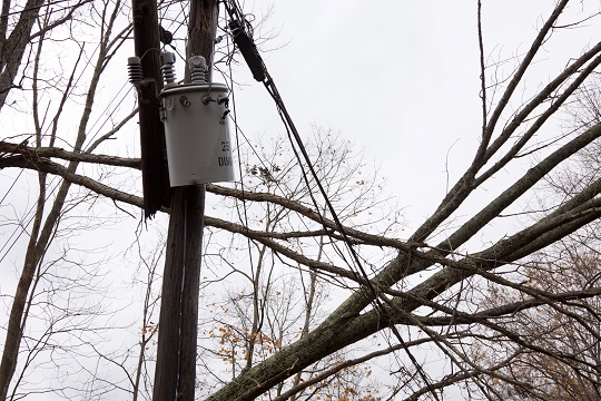 How to Report Downed Power Lines - Electricians - Seva Call Blog